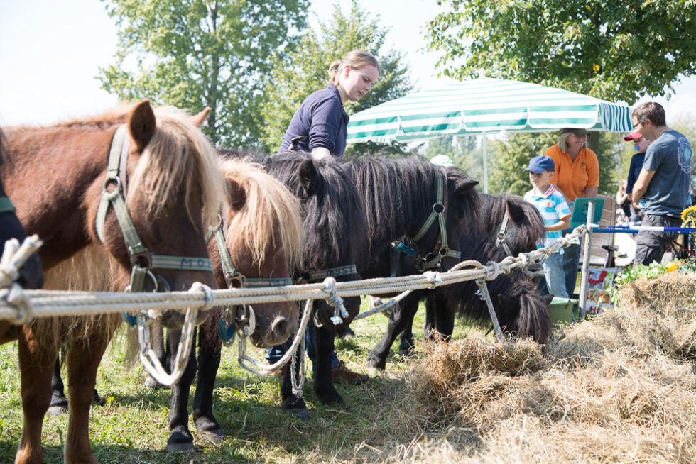 Programm - highlandgames-ohrdruf.de